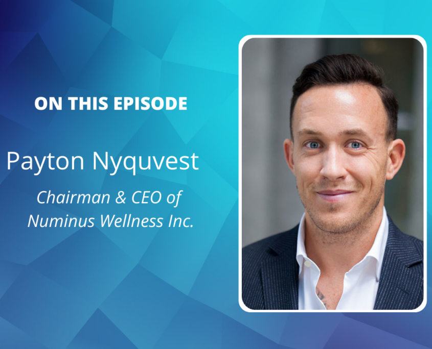 Interview With David Champion | Psychedelic Spotlight