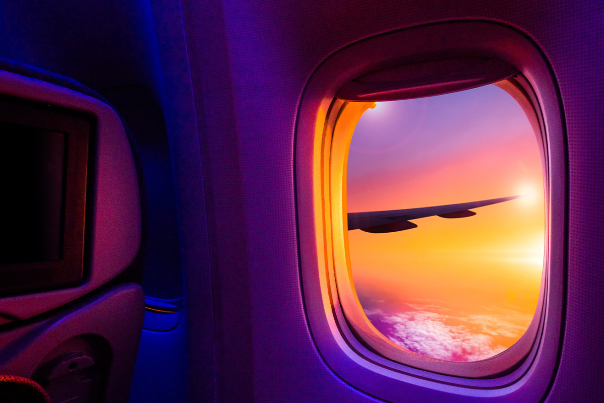 12 Things to Know Before You Buy Psilocybin Spores | Psychedelic Spotlight