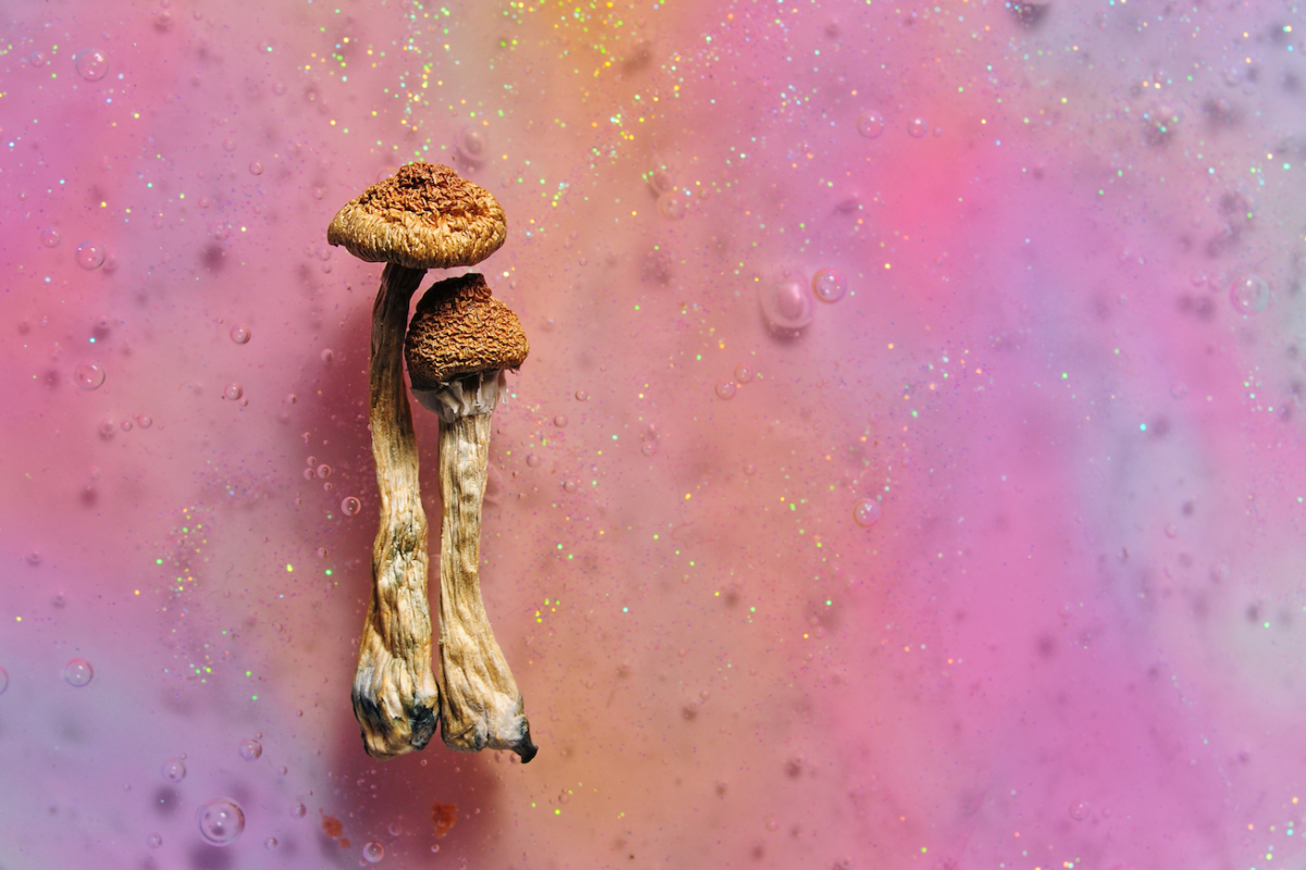What Is Changa? The Psychedelic You've Likely Never Heard Of (Yet ...