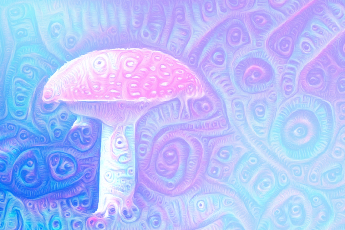 How Do Hallucinogens Work? The Complete Guide to Psychedelic Benefits ...