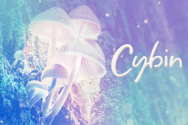 Why Cybin Thinks This Novel Psilocybin Analog Is the 'Superior Molecule'