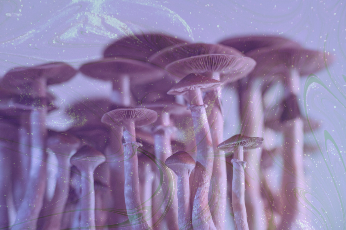 Forgotten Psychedelics: What Is 2C-B? | Psychedelic Spotlight