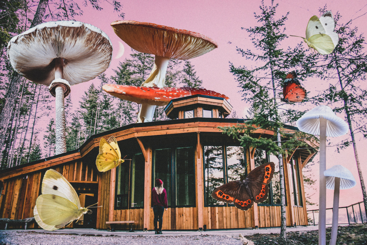 5 Examples of Ancient Psychedelic Cave Art | Psychedelic Spotlight