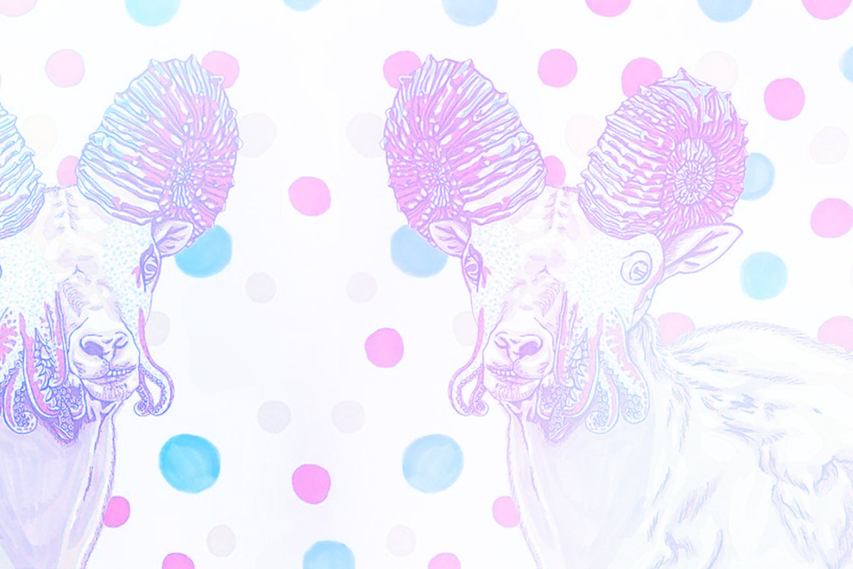 Animals That Eat Psychedelics and Enjoy the Trip | Psychedelic Spotlight