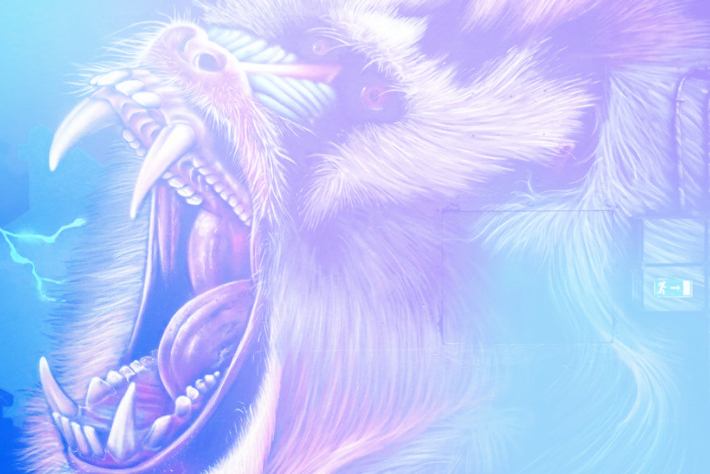 Animals That Eat Psychedelics and Enjoy the Trip | Psychedelic Spotlight