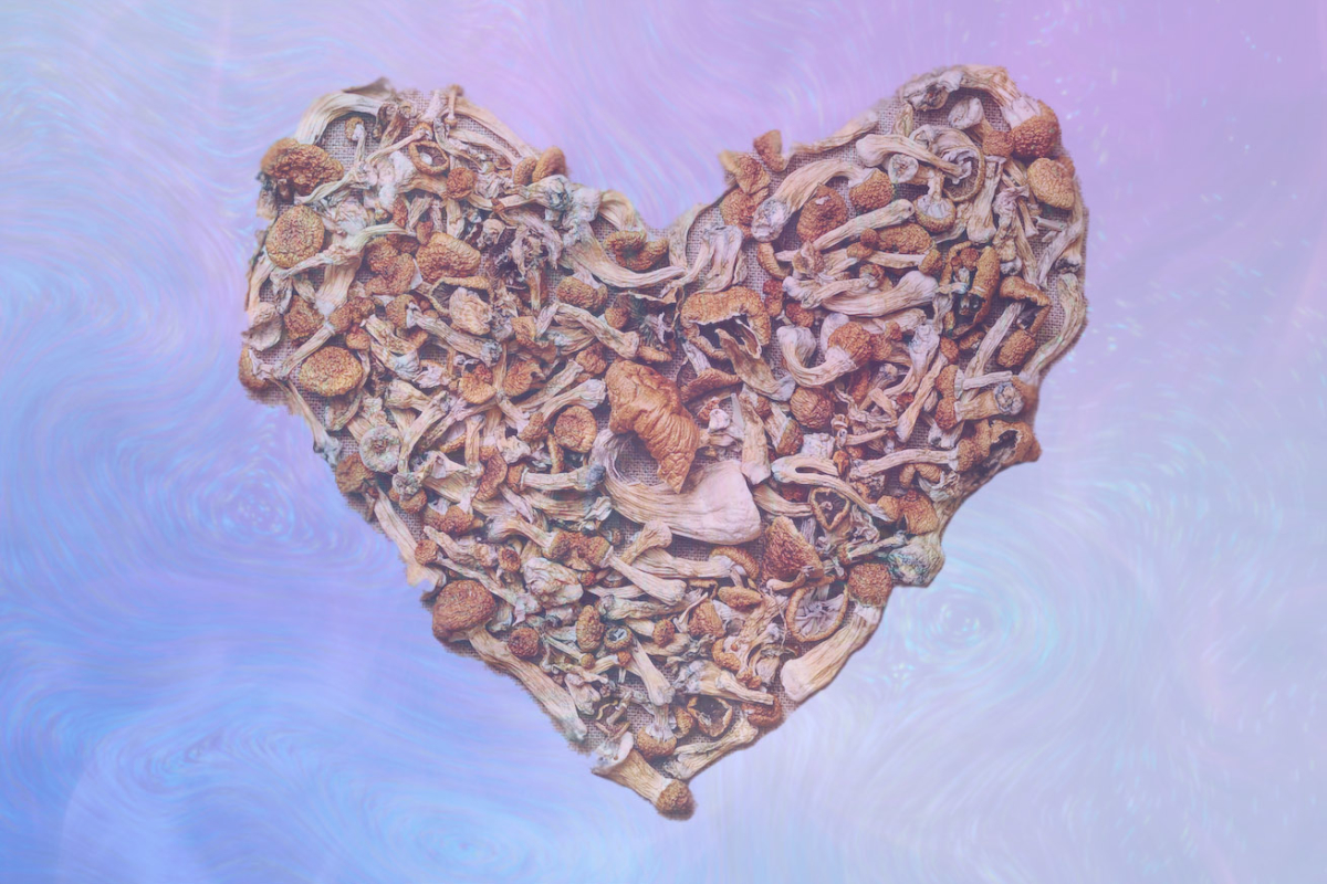 What Is Changa? The Psychedelic You've Likely Never Heard Of (Yet ...