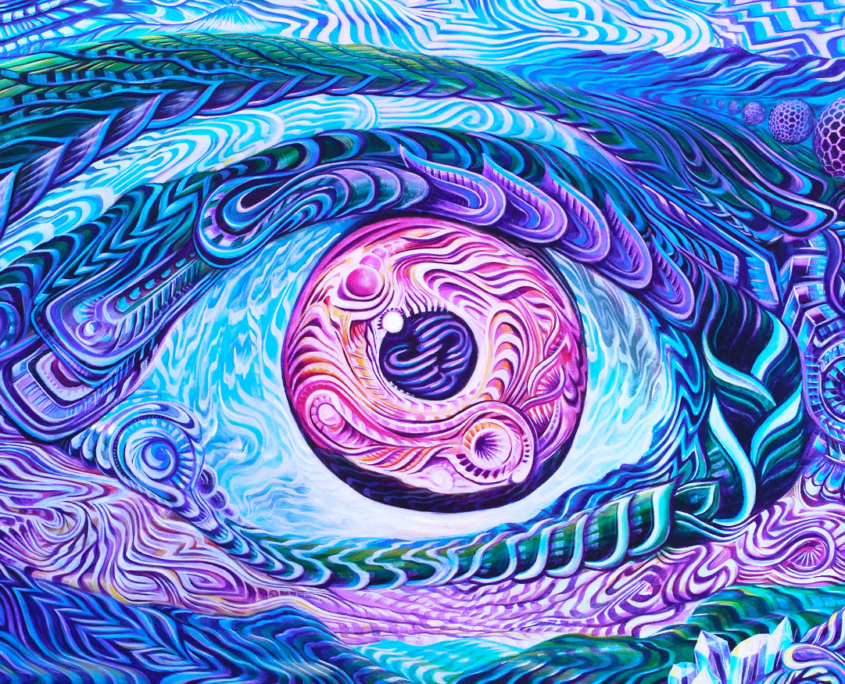 Best Areas to Forage for Psychedelic Mushrooms in the United States ...