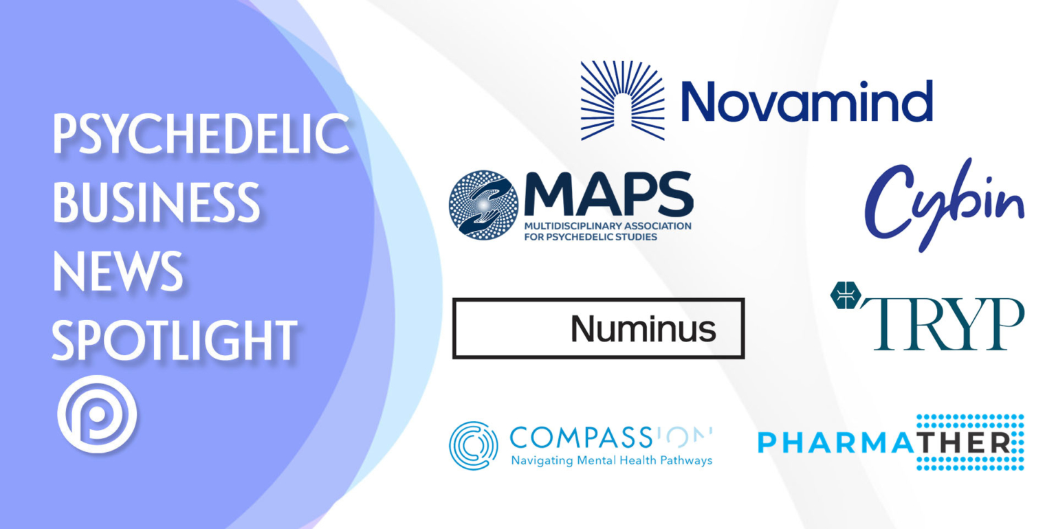 How to Make Magic Mushroom Gummies | Psychedelic Spotlight