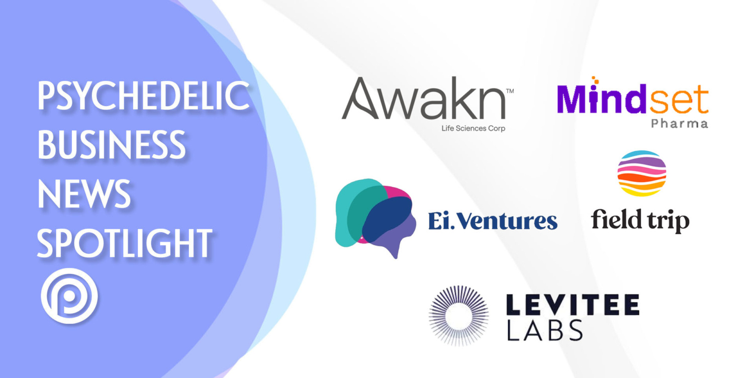 Guide To What Foods to Eat Before a Psychedelic Trip