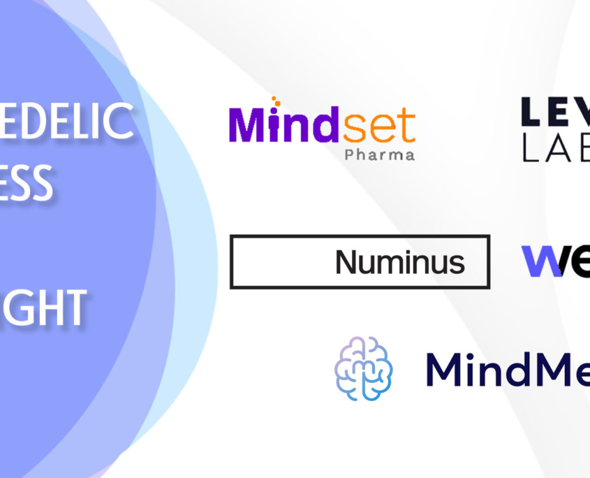 A List of the Strongest Psilocybe cubensis Strains | Psychedelic Spotlight