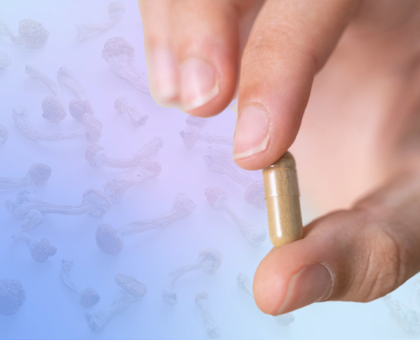 Mushroom Chocolate: The New Wave in Mind Altering Edibles | Psychedelic ...