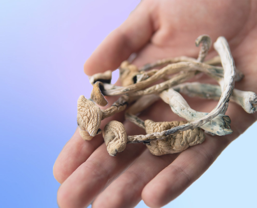 5 Examples of Ancient Psychedelic Cave Art | Psychedelic Spotlight