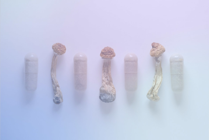 Psilocybin Is Effective in Reducing Weight Gain, New Study Shows Psilocybin Is Effective in Reducing Weight Gain, New Study Shows