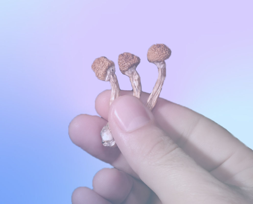 How 4 Indigenous Cultures Currently Use Psychedelics | Psychedelic ...