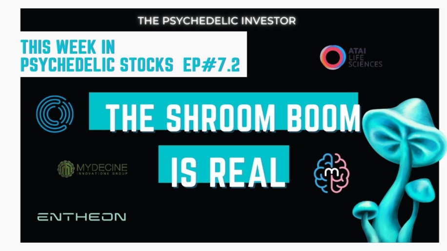 Minimizing Harm and Ensuring Safe Nonclinical Psychedelic Use ...