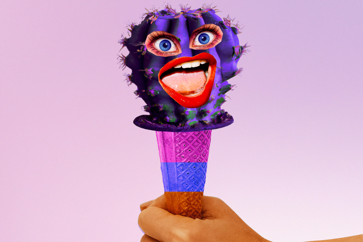 A Beginner's Guide To Mescaline | Psychedelic Spotlight