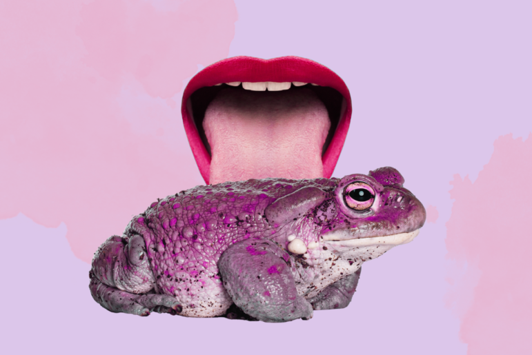 A List of the Strongest Psilocybe cubensis Strains | Psychedelic Spotlight