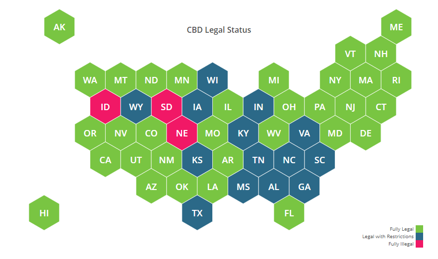 Psilocybin & CBD: Can You Mix Them? | Psychedelic Spotlight
