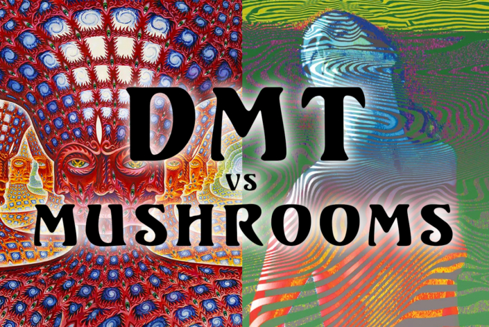 DMT vs. Psilocybin: Are We all Experiencing the Same Trip ...