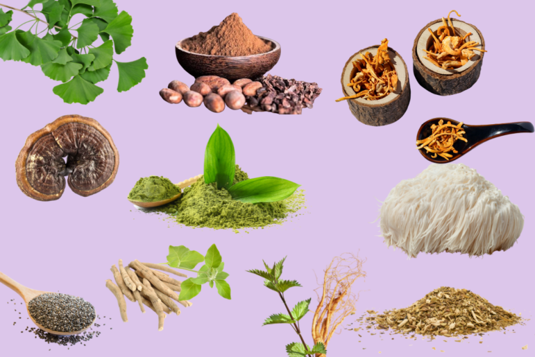 Psilocybin Pre-Workout Stacks: Can Mushrooms Improve Your Urge To Move ...