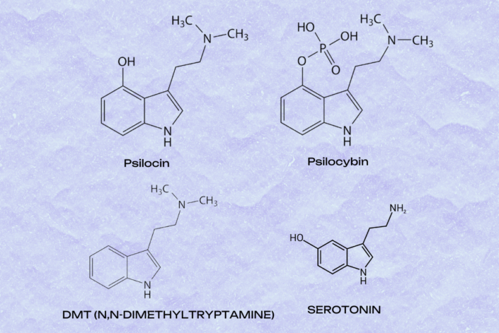 DMT vs. Psilocybin: Are We all Experiencing the Same Trip ...