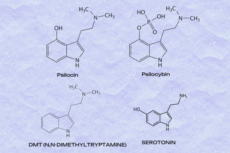 DMT vs. Psilocybin: Are We all Experiencing the Same Trip ...