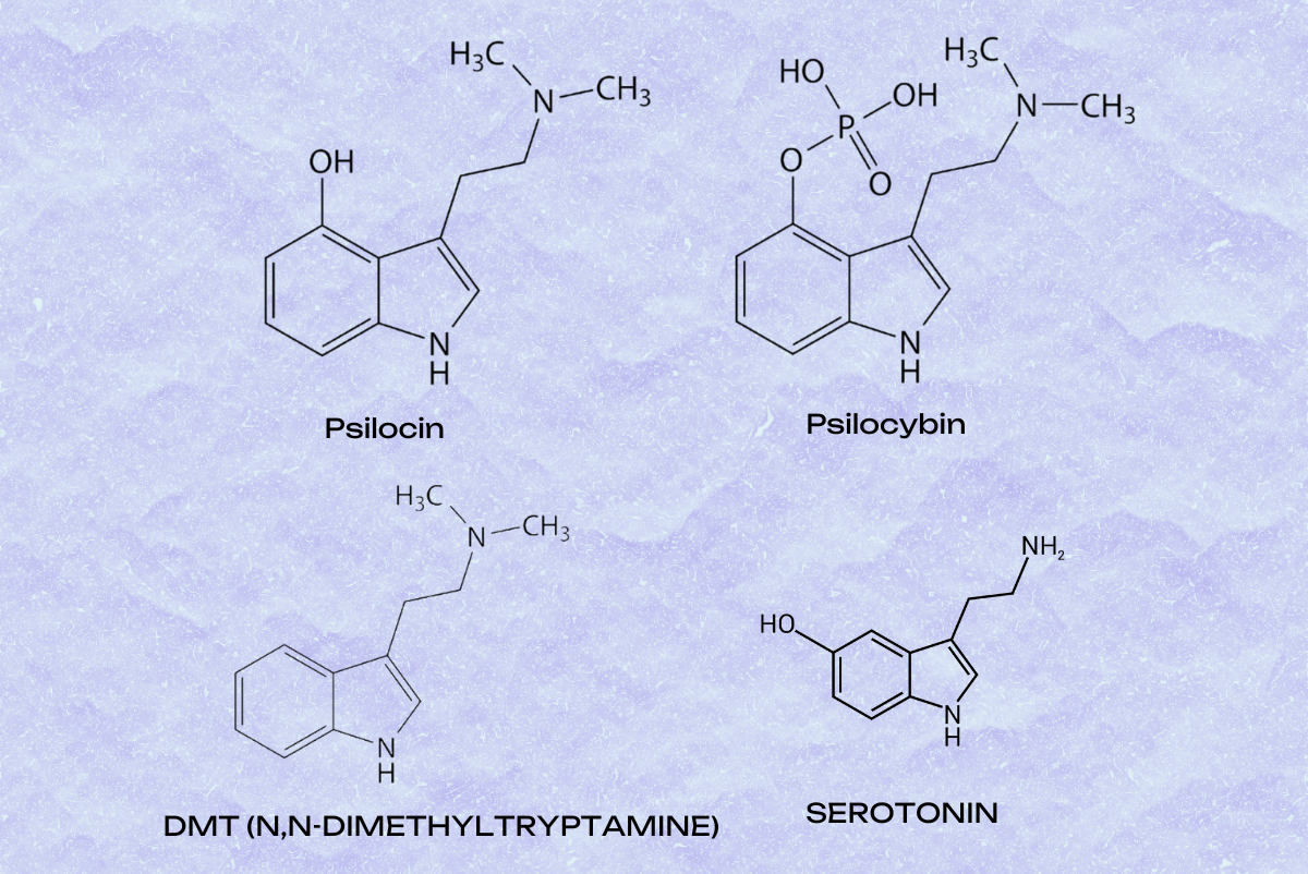 DMT vs. Psilocybin: Are We all Experiencing the Same Trip ...