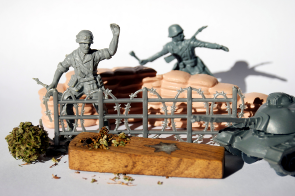 'Decriminalize Drugs' Movement is Gaining Momentum Around the World ...
