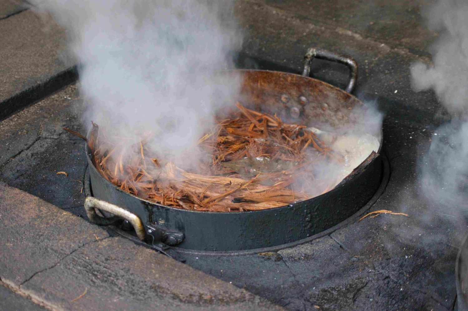 Yep - Legal Ayahuasca Churches Are a Thing in Montreal | Psychedelic ...