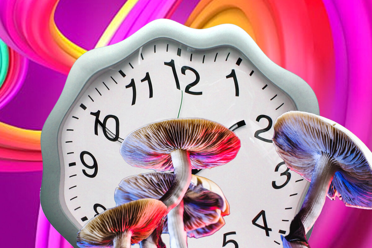 How Long Does an Acid Trip Last? | Psychedelic Spotlight