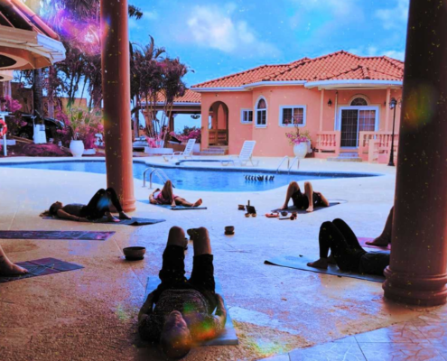 A List of the Strongest Psilocybe cubensis Strains | Psychedelic Spotlight