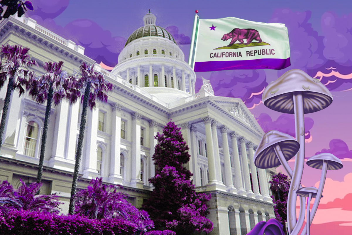 California Takes Major Step Towards Passing Psychedelics Legalization ...
