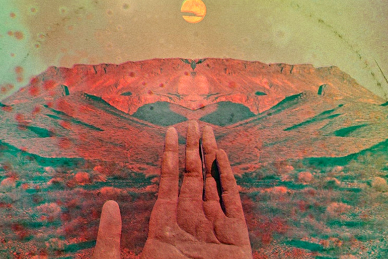 A Beginner’s Guide to a San Pedro Cactus Experience | Psychedelic Spotlight