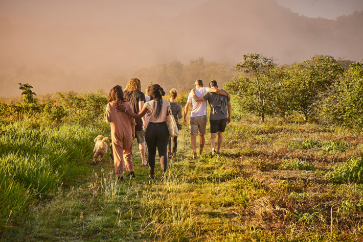 New ESPN Documentary, "Psychedelics & a Road to Recovery" to Explore ...