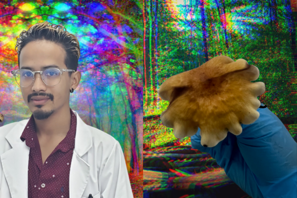 How to Store Magic Mushrooms to Preserve Potency & Freshness