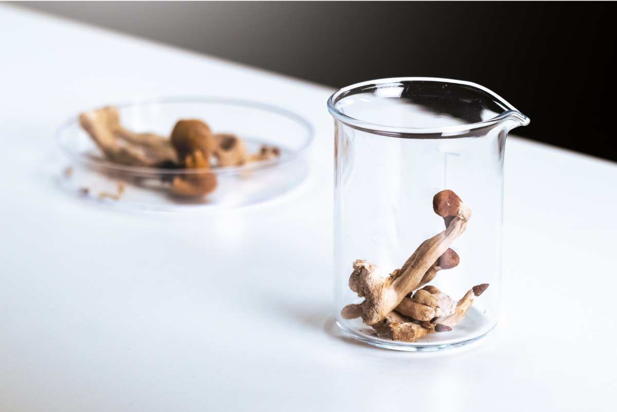 Experts Propose Solutions for Regulatory Challenges in the Psychedelic ...