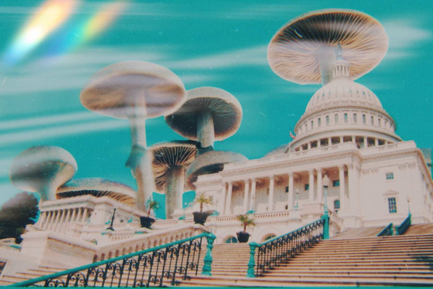 Latest Psychedelic News This Week - May 5