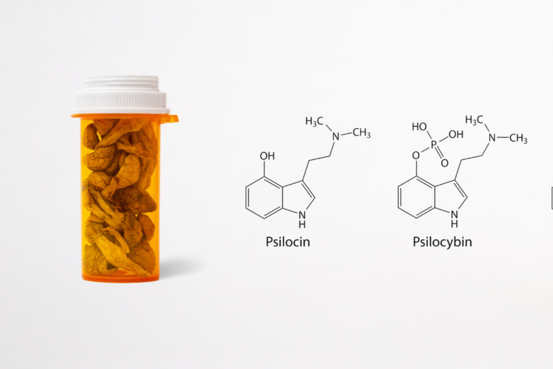 Shrooms vs. LSD: Differences, Similarities & Research Progress ...
