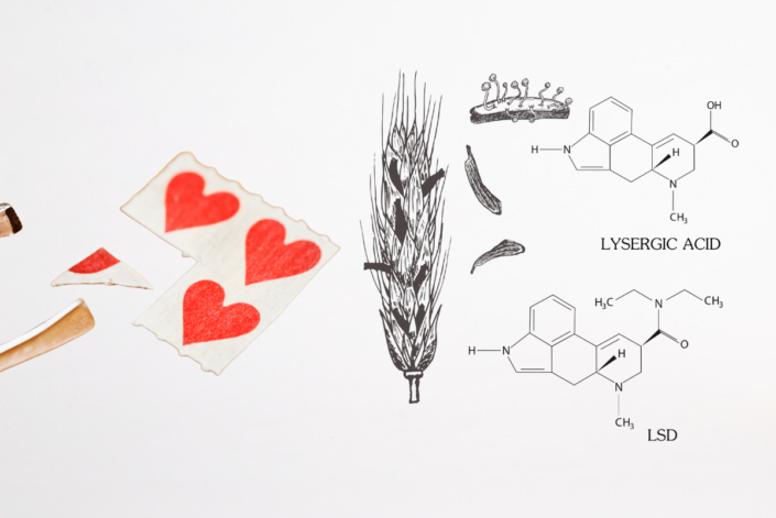 Shrooms vs. LSD: Differences, Similarities & Research Progress ...