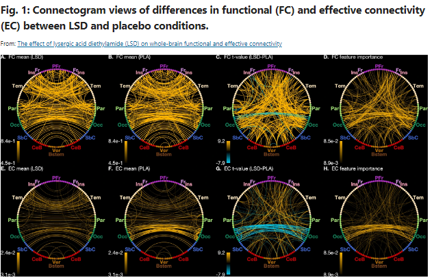 Uncovering the Mysteries of LSD: New Study Examines How it Alters Brain ...