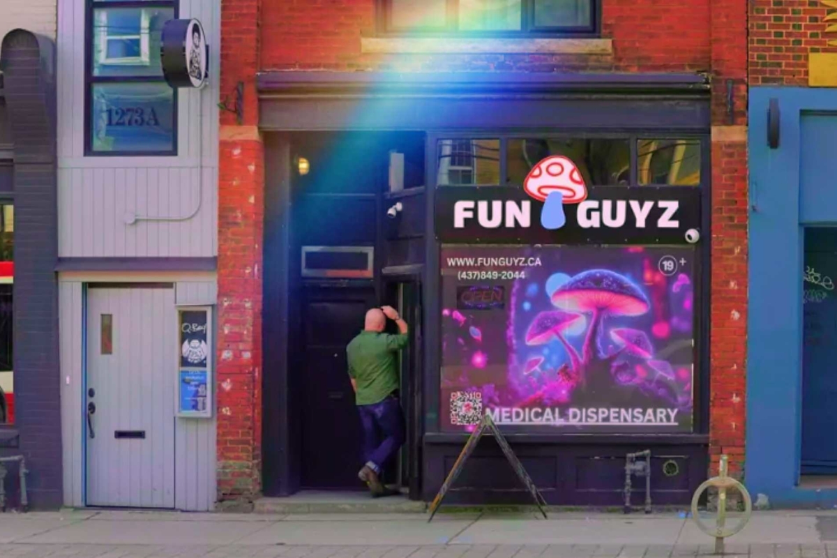 Montreal's First Shroom Dispensary Is Set to Open in Less Than Three ...