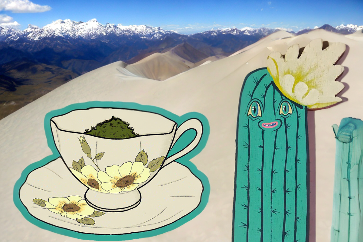 A Step-by-Step Guide: Making San Pedro Cactus Mescaline Tea ...