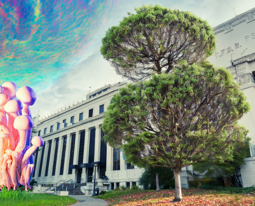 Researchers Are Mapping DMT Dimensions Through DMTx Tech