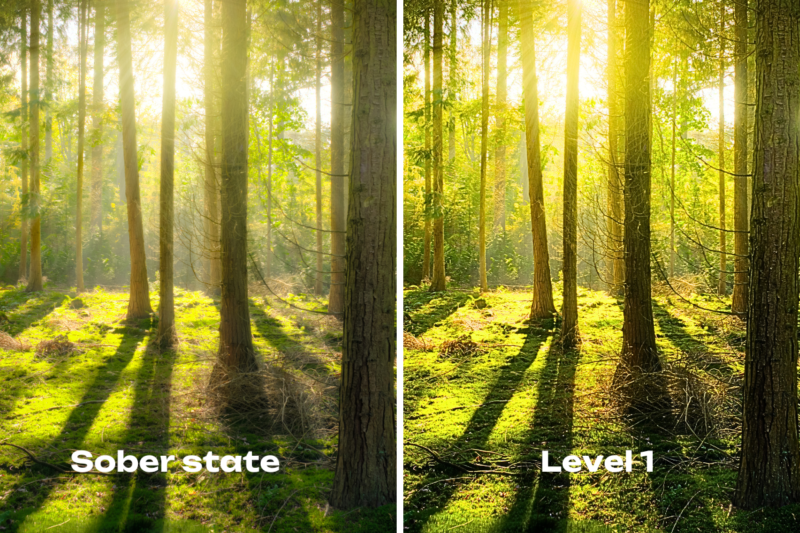 Journeying Beyond the Self: Timothy Leary's 5 Levels of Psychedelic ...