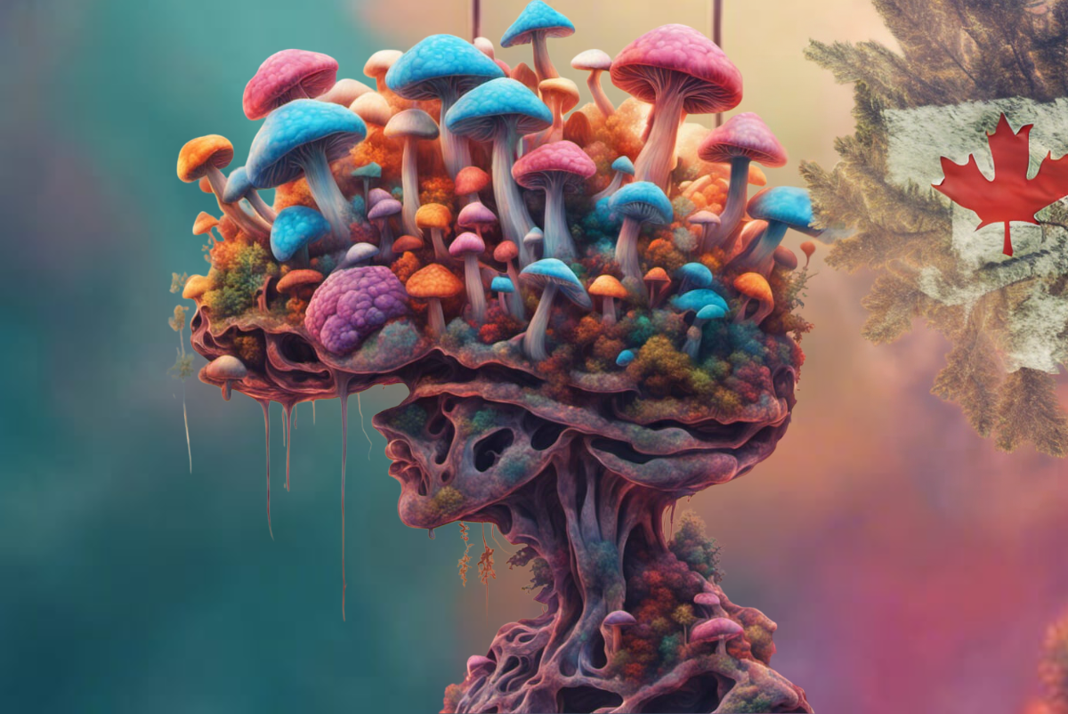 Canadian Psychedelic Users Self-Medicating, But Few Discuss with ...