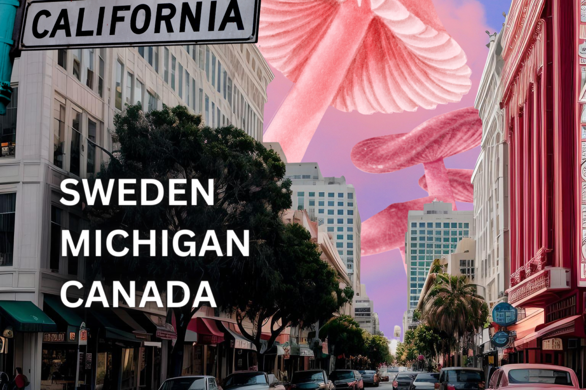 The Biggest Psychedelic News Stories of the Week - September 11th ...