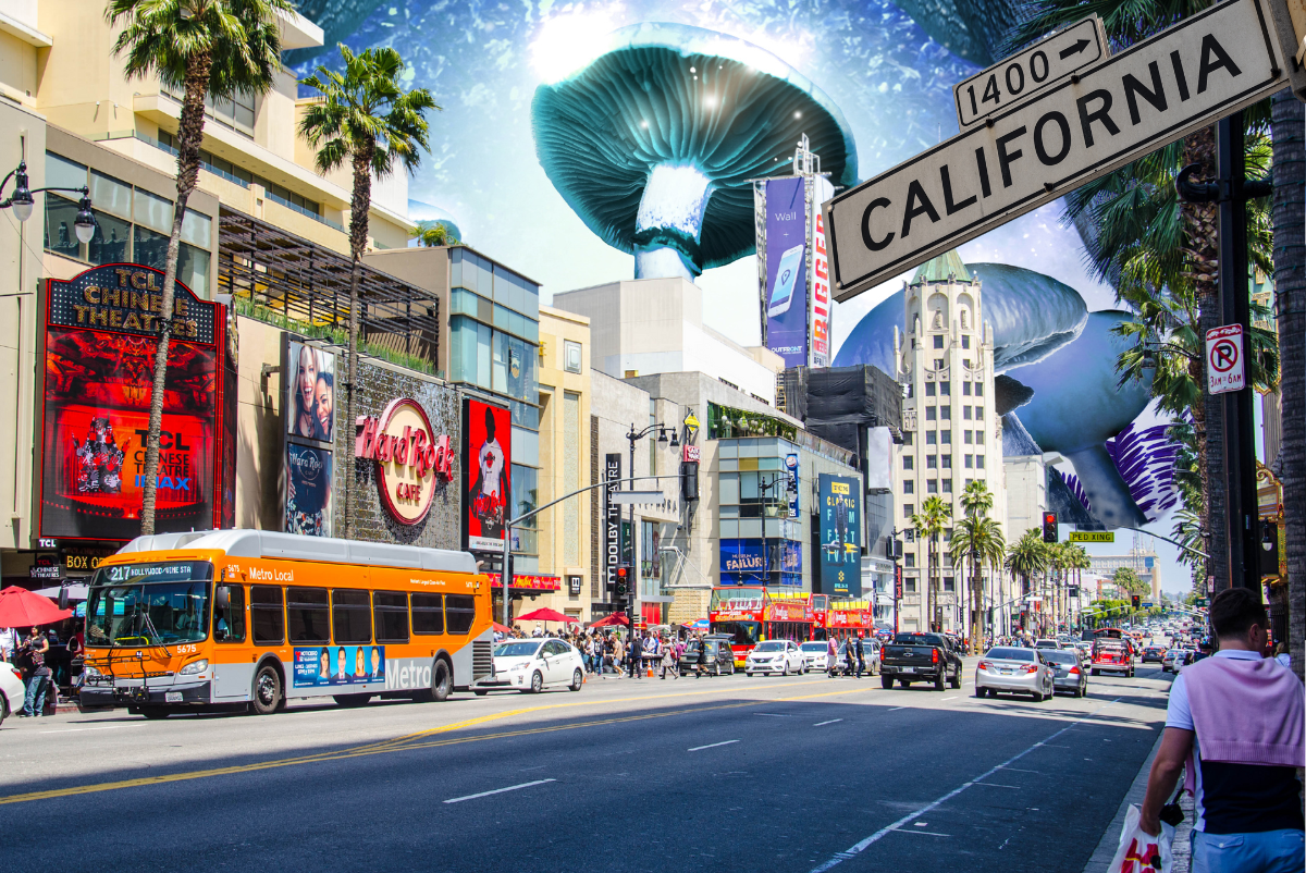 The Biggest Psychedelic News Stories of the Week - September 4th ...