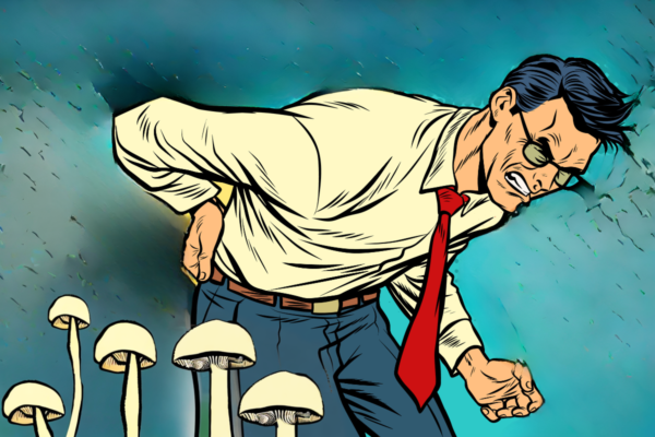 LSA Vs. LSD: What Is the Difference? | Psychedelic Spotlight