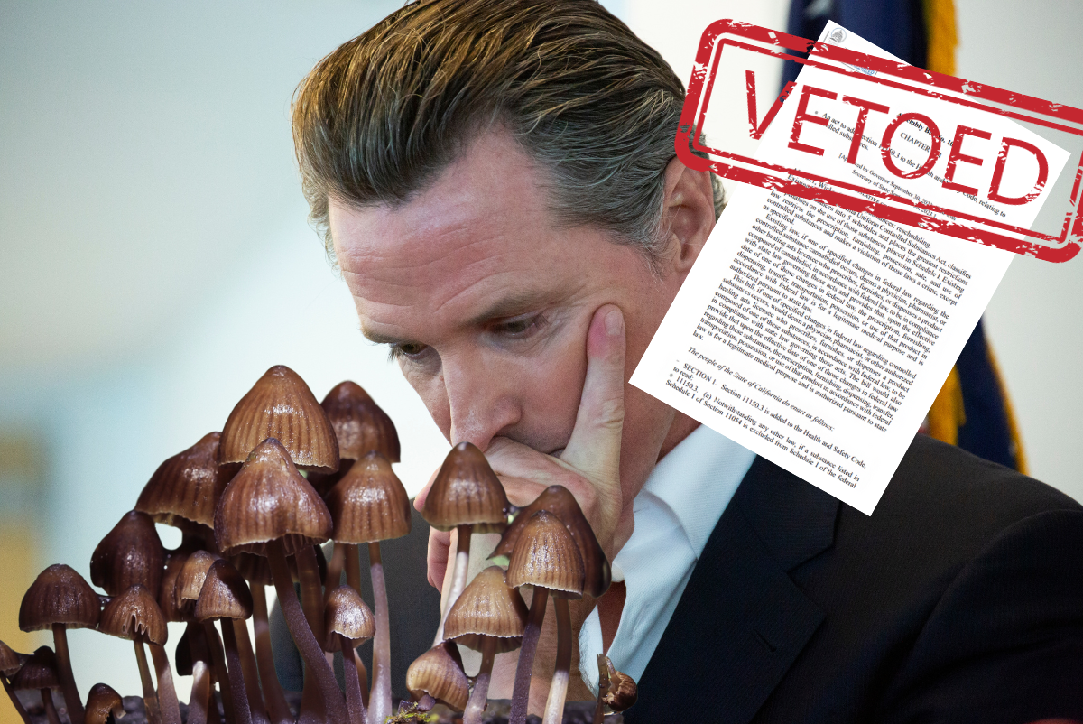 Why the California Governor Vetoed Psychedelic Decriminalization