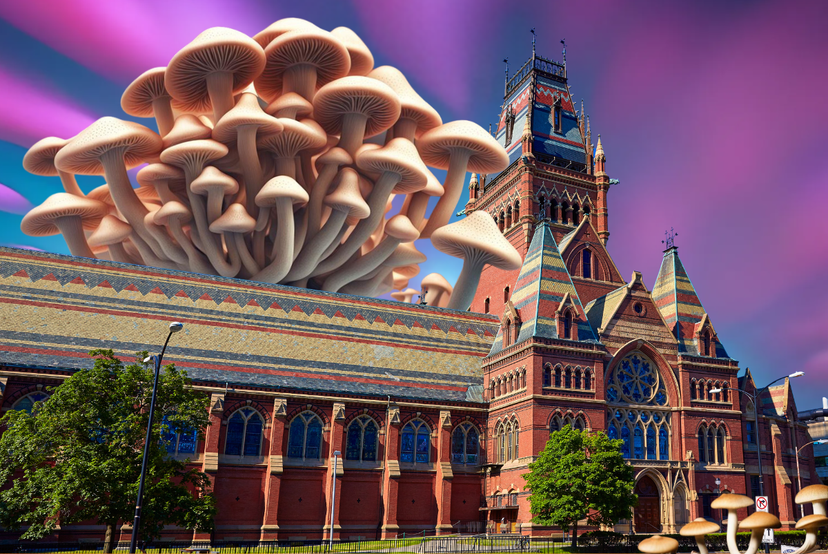 The Biggest Psychedelic News This Week – October 16th | Psychedelic ...